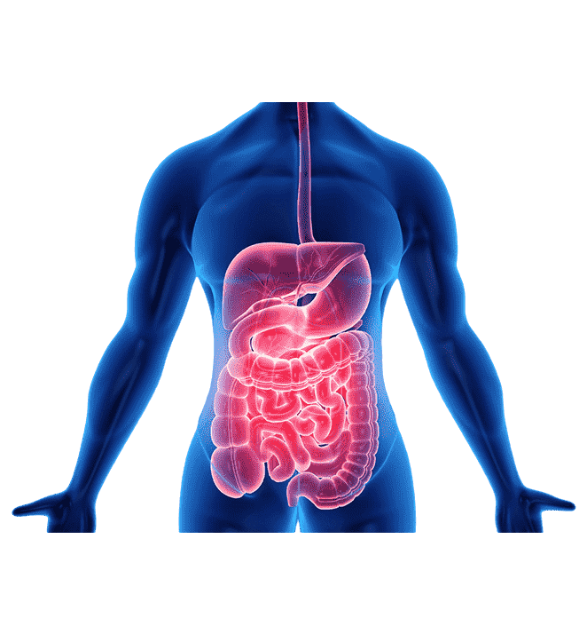 Dr. Preetha Thomas : Gastroenterologist in Pretoria